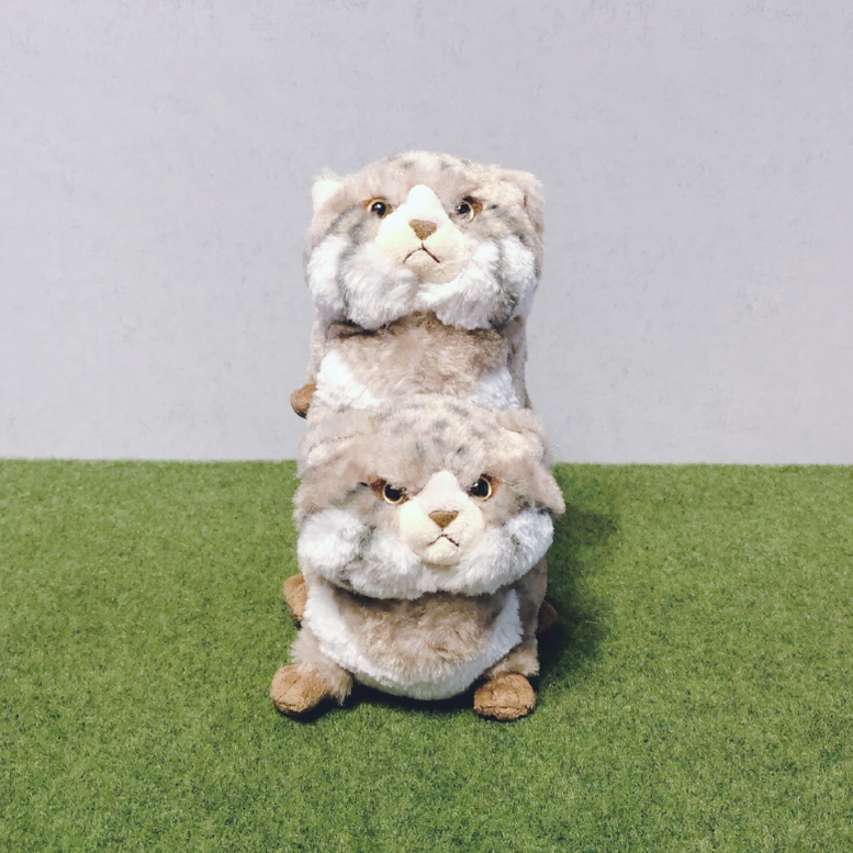 fluffies マヌルネコ ぬいぐるみ — Etamo